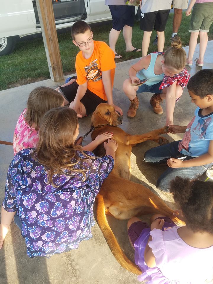 CONNECTIONS | ssarbloodhounds